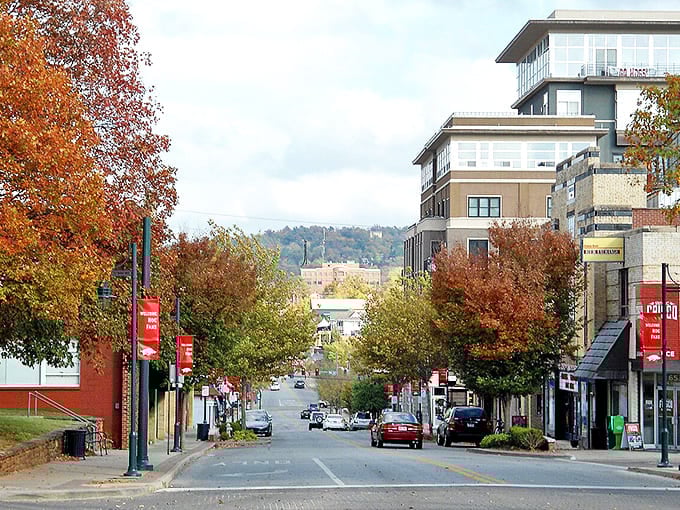 College town energy flows through these tree-lined streets like caffeine through a student's veins.