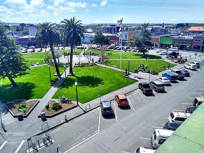 The grassy plaza in Arcata serves as the community's living room, where students and locals gather under palm trees.