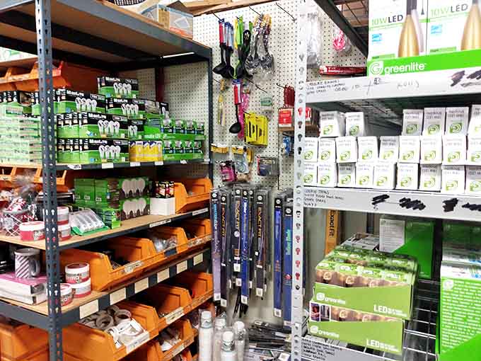 Inside awaits a wonderland of organized chaos - light bulbs, tools, and household gadgets galore. Marie Kondo would have a field day here!