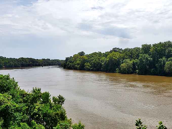 The Alabama River flows like liquid history past Selma's shores. This waterway once carried cotton and commerce; now it offers serenity and reflection.