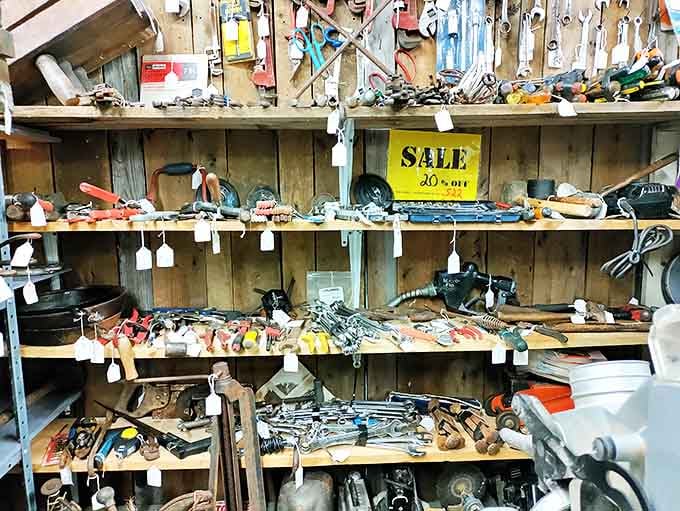 A handyman's dream collection! These tools have built houses, fixed cars, and probably solved a few marriage disputes too.