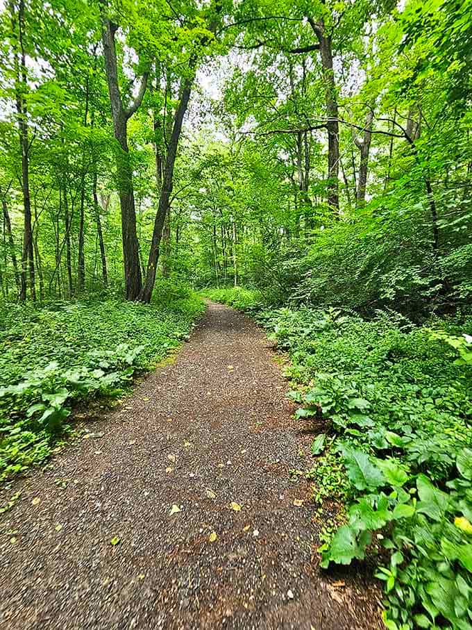 Nature's version of therapy doesn't charge by the hour &ndash; Babcock Preserve's verdant trails offer the kind of peace money usually can't buy.