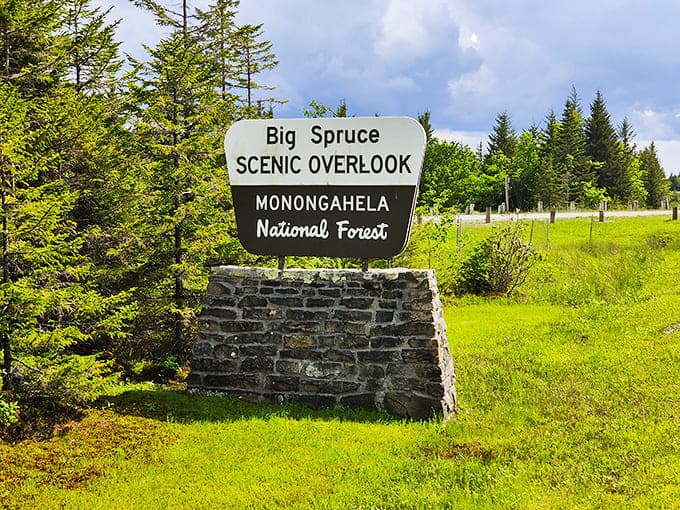 Big Spruce Overlook sign stands guard at the gateway to views that make your social media vacation photos look like amateur hour.