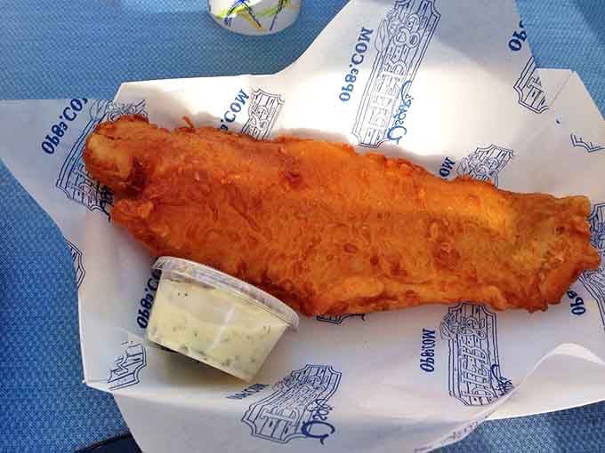 This isn't just fried fish &ndash; it's a golden-armored sea creature that's traveled hundreds of miles just to make your Wednesday special.