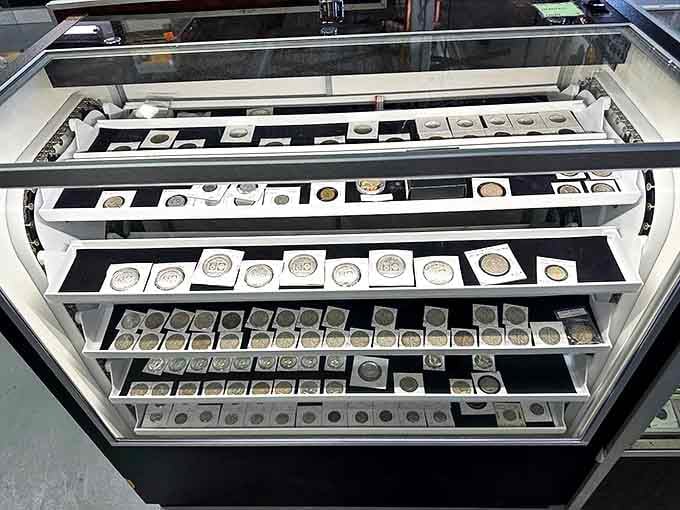 Treasure that jingles! Each coin tells a silent story of pockets, piggy banks, and the hands that once held them through history.