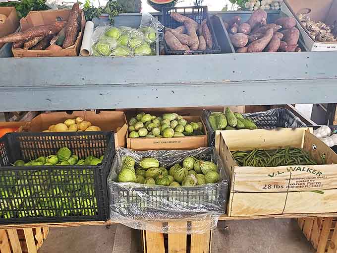 Farm-fresh produce that actually remembers what dirt feels like&mdash;a refreshing counterpoint to the vintage treasures surrounding it.