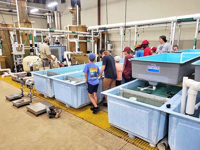 Future marine biologists get hands-on at the Go Fish Education Center, where "school" takes on a whole new meaning with these aquatic tanks.