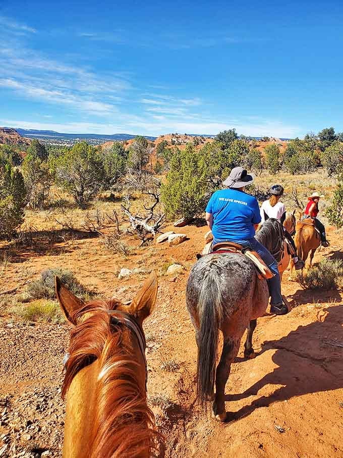Exploring the park on horseback &ndash; because sometimes the old ways are still the best ways to experience timeless landscapes.