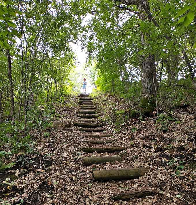 These rustic steps climbing through the forest feel like something from a fairy tale&mdash;half expecting woodland creatures to guide your way.