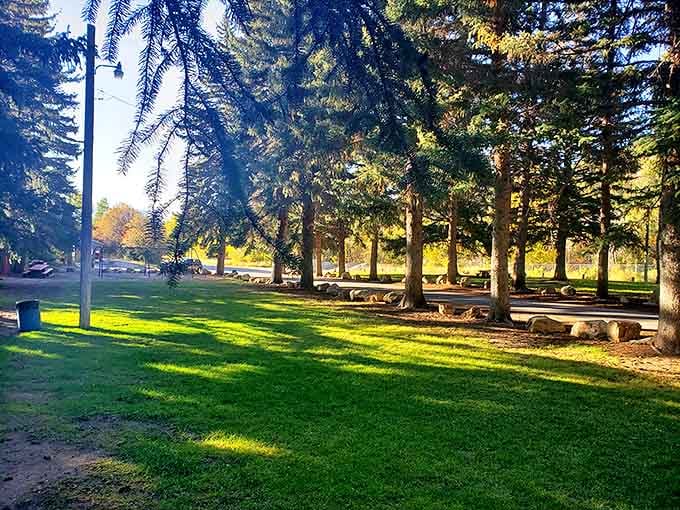 Power Plant Park offers that quintessential small-town gathering spot where generations of families have created memories under the watchful gaze of towering pines.