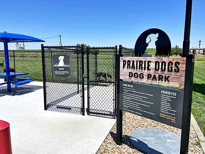 Even four-legged friends get VIP treatment in Goodland with the Prairie Dogs Dog Park &ndash; where pups network better than LinkedIn.