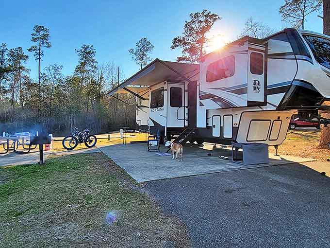 Glamping goes full Mississippi at these premium RV sites. The pine trees provide shade while your air conditioner provides the perfect indoor temperature.