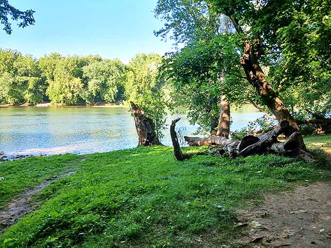 The Potomac River doesn't just flow&mdash;it narrates, with tree roots clutching the banks like they're hanging on to hear the next chapter.