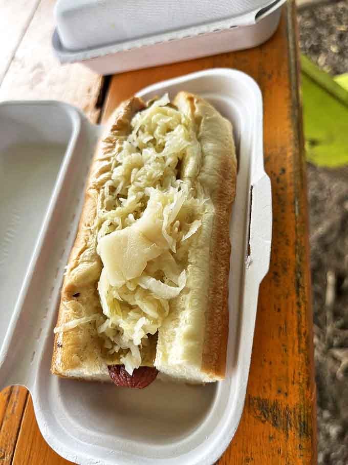 The humble sauerkraut dog: proof that sometimes the classics endure for a reason. That tangy crunch against the savory dog is culinary poetry.