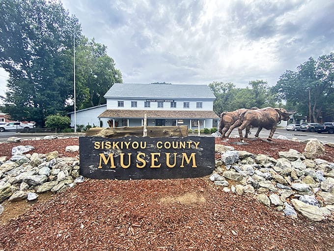 The Siskiyou County Museum stands ready to transport visitors through time, with horse sculptures that seem poised to gallop into history.