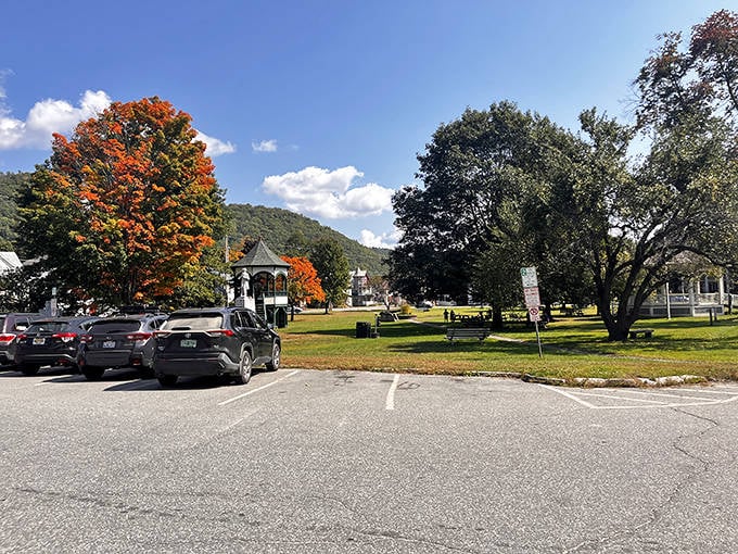 The town green, where autumn trees put on a show that makes professional theater look understated. No admission required.