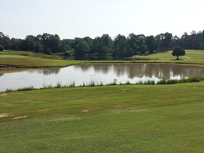 Golf with a view! Uncle Remus Golf Course offers rolling greens and tranquil water features without the country club attitude or prices.