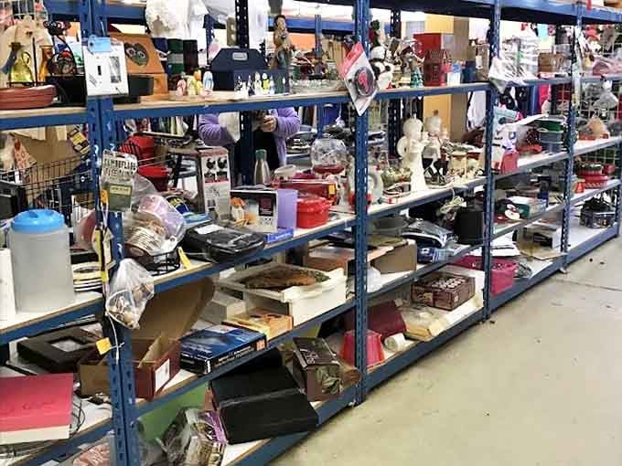 The miscellany section: where yesterday's impulse purchases become tomorrow's conversation pieces. One person's random is another's revelation!