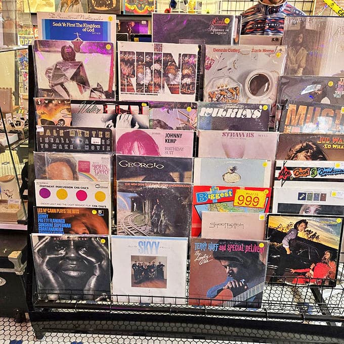 Crate digger's paradise where forgotten musical gems await resurrection. Each album cover tells a story before the needle even drops.