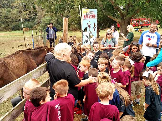 At Wise Family Farm, children discover where food actually comes from&mdash;hint: not the grocery store app on your smartphone!