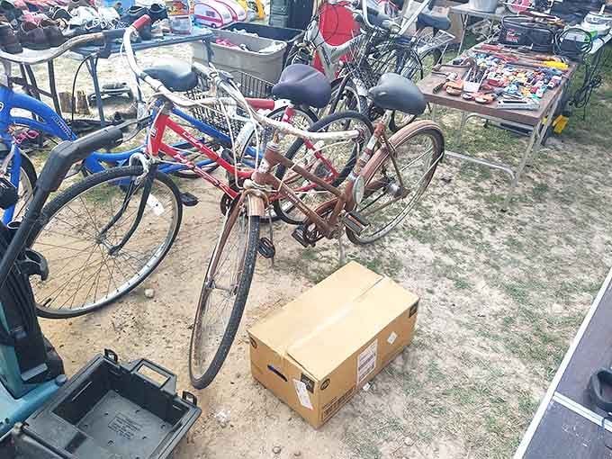Vintage bicycles waiting for their second act. These aren't just transportation; they're time machines with pedals and slightly rusty chains.