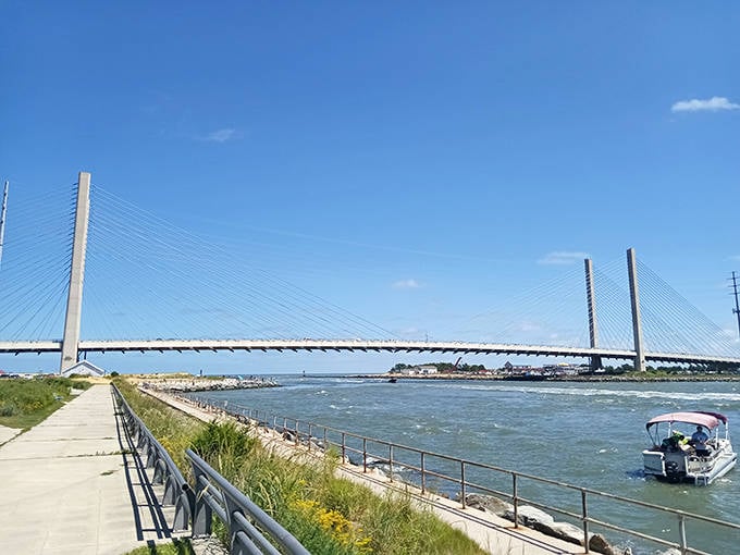 The Indian River Inlet Bridge stands like a modern colossus, its cables reaching skyward as if trying to touch those perfect Delaware clouds.