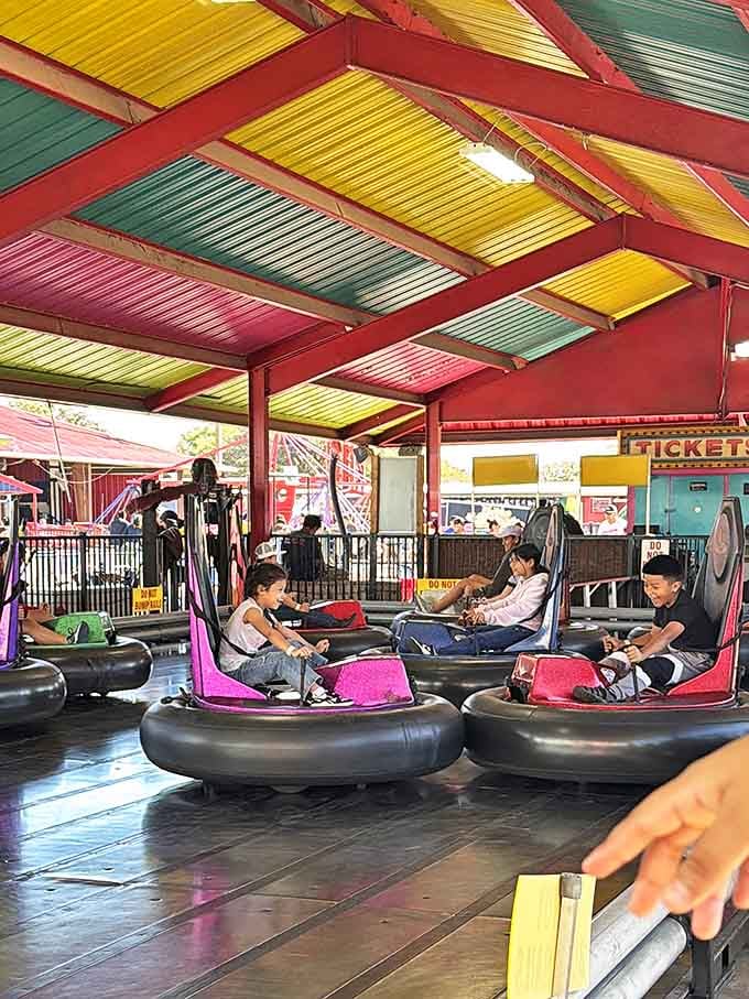 Bumper cars: where Texas kids learn defensive driving skills early. These future commuters are practicing essential Dallas-Fort Worth freeway techniques.
