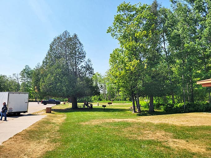 Picnic tables, tall pines, and fresh air &ndash; the original three-course meal experience before restaurants ruined everything.