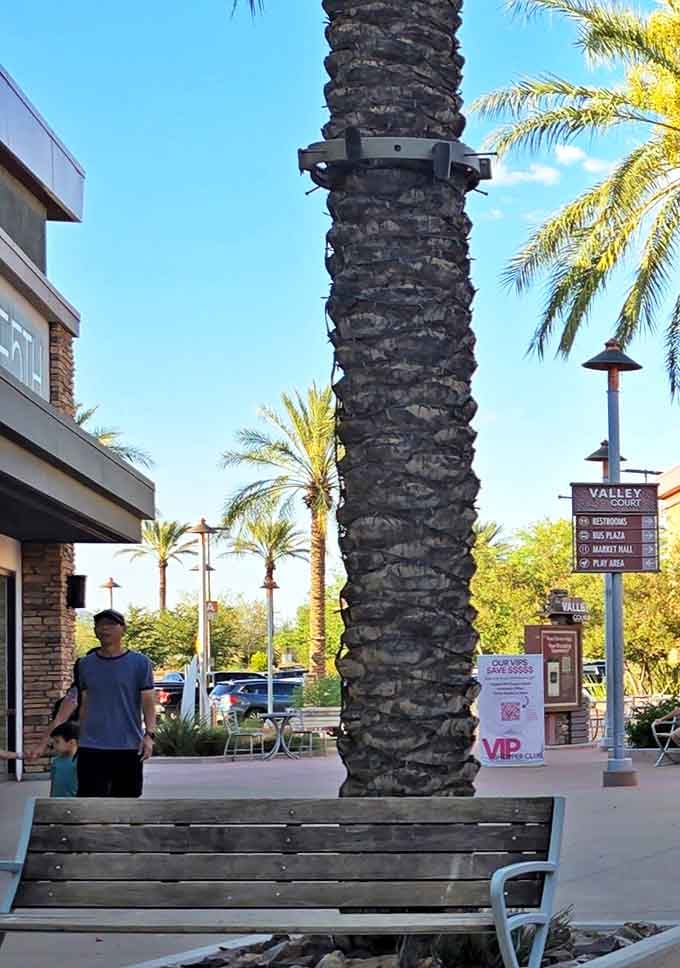 Towering palm trees provide natural shade as shoppers navigate between stores, a welcome feature during Tucson's sun-drenched afternoons.