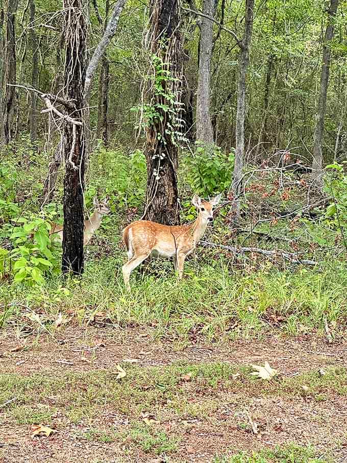 "Excuse me, did you make a reservation?" The local welcoming committee conducts surprise inspections throughout the park.