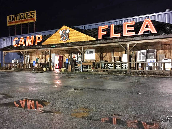 The night-time glow of Camp Flea's exterior is like a lighthouse for collectors. Even puddles reflect the promise of treasures inside.
