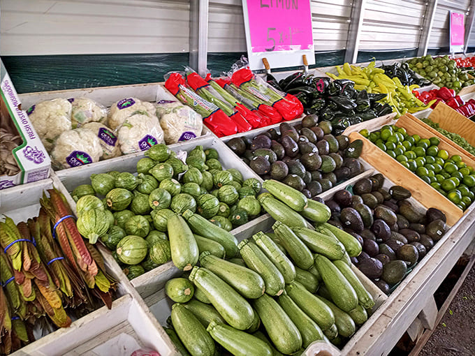 Farm-fresh produce that puts supermarket offerings to shame. These zucchini and avocados didn't travel from another hemisphere to meet you.