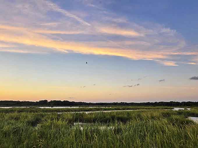 Nature's IMAX theater at sunset. These marshlands host more wildlife drama than any streaming service &ndash; and it's included in your property taxes.