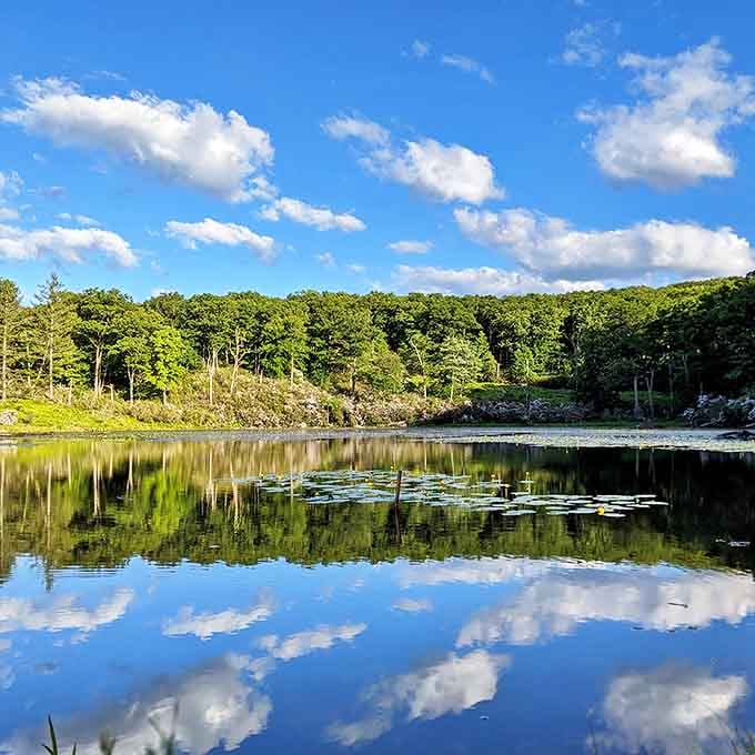 Cloud reflections creating nature's perfect mirror. Even Narcissus would approve of this selfie opportunity at one of Harriman's serene lakes.