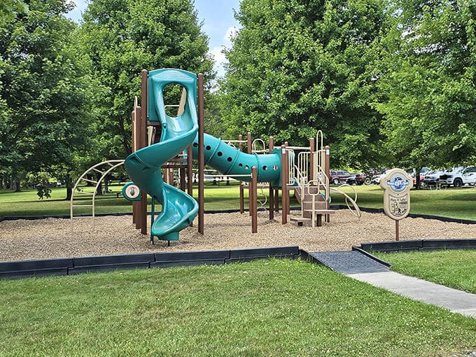 Remember when playground equipment wasn't bubble-wrapped in safety features? This modern compromise still delivers the stomach-dropping joy we all remember.