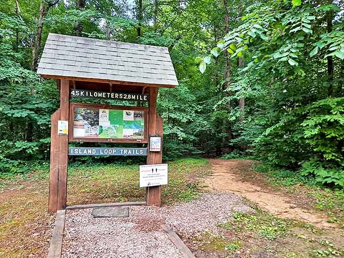 The Island Loop Trail beckons with 2.5 miles of "I can't believe this is in Tennessee" moments waiting around every bend.