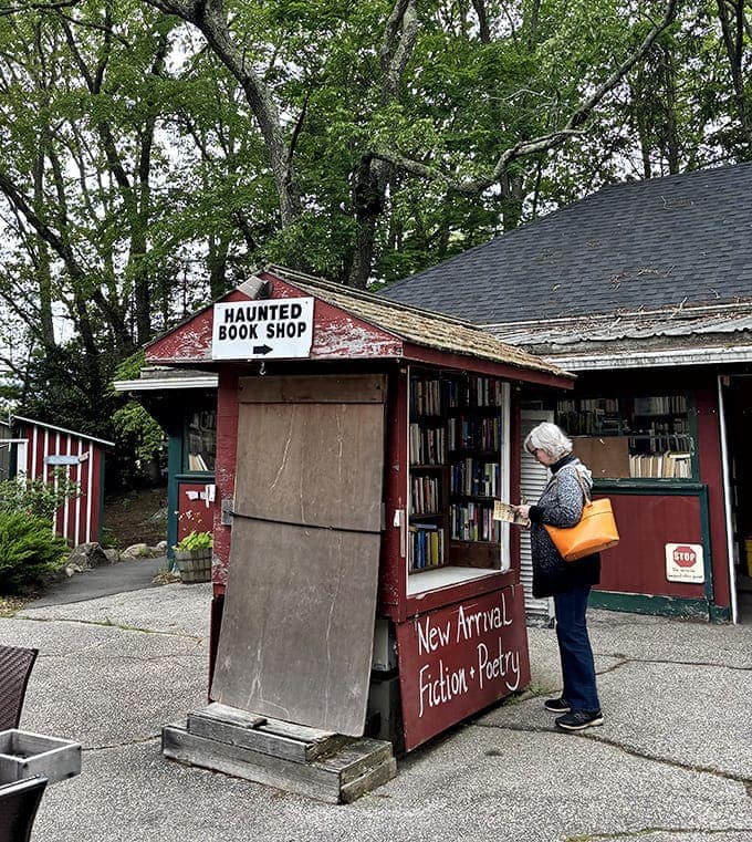 The aptly named "Haunted Book Shop" beckons with promises of spine-tingling tales and mysterious literary treasures.
