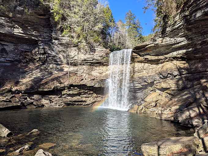 This isn't CGI—it's just Tennessee showing off. Greeter Falls plunges into a swimming hole that makes hotel pools seem tragically unimaginative.