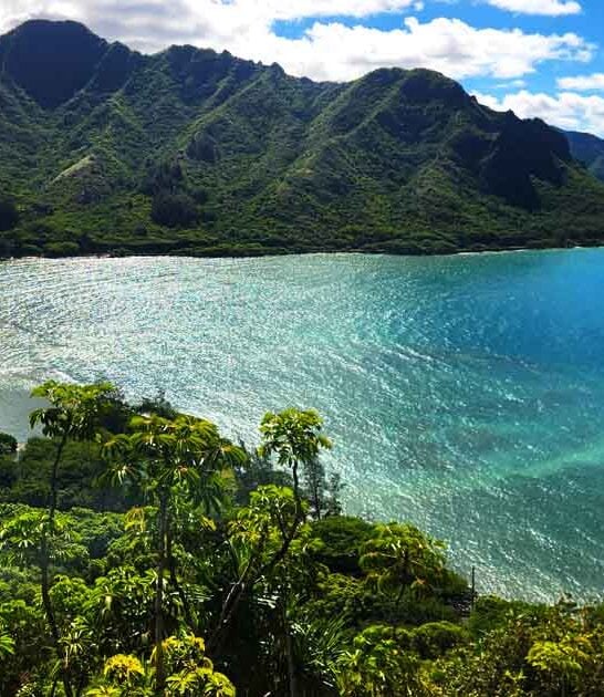 5300 acre hawaii park ftr