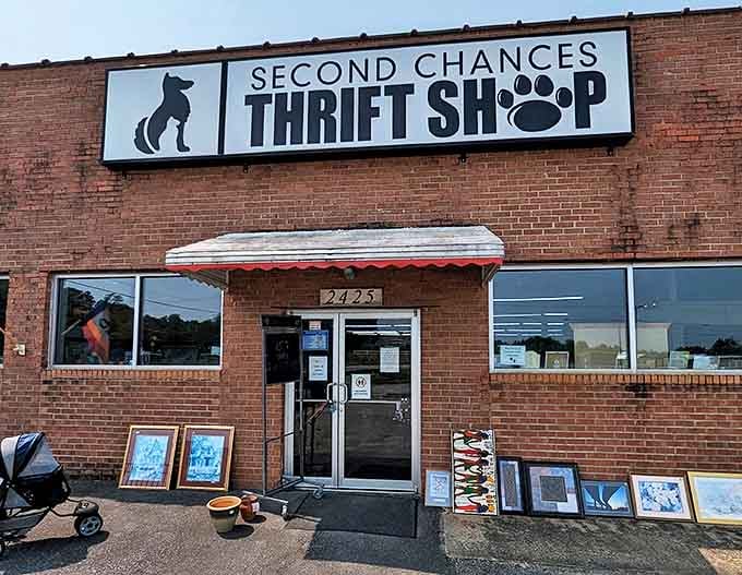 That distinctive paw print logo tells you this isn't just shopping—it's supporting our four-legged friends too.