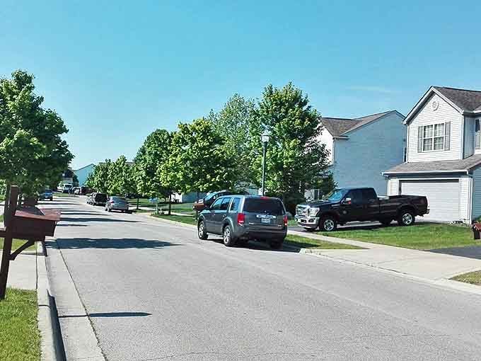 Tree-canopied streets that make every walk feel like a gentle nature hike.