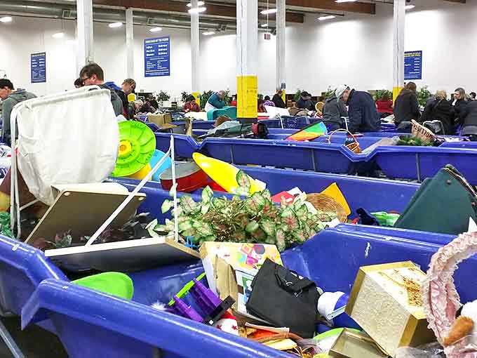 Blue bins of bargains await treasure hunters willing to dig for that perfect unexpected find.