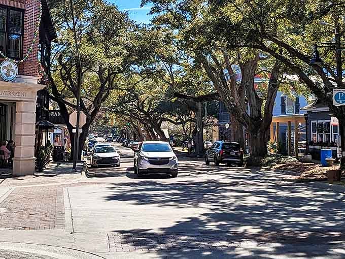 Those magnificent oak trees create a natural canopy over Ocean Springs' downtown streets, making every drive feel like a peaceful journey through history.