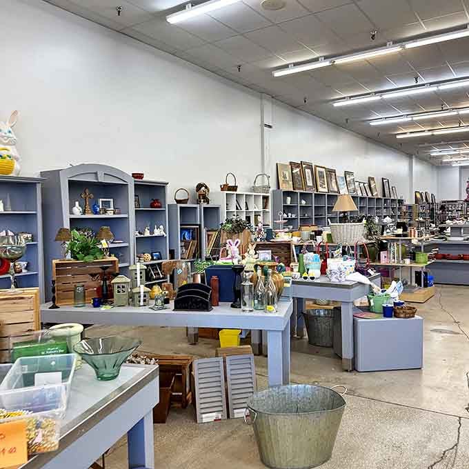 Shelves of neatly arranged treasures await – this is where your grandmother's knickknacks go to find new loving homes.