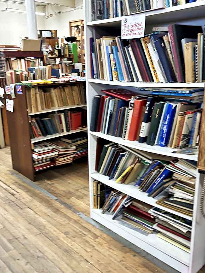 Literary archaeology at its finest&mdash;shelves where forgotten bestsellers and timeless classics sit shoulder to shoulder, waiting for rediscovery.