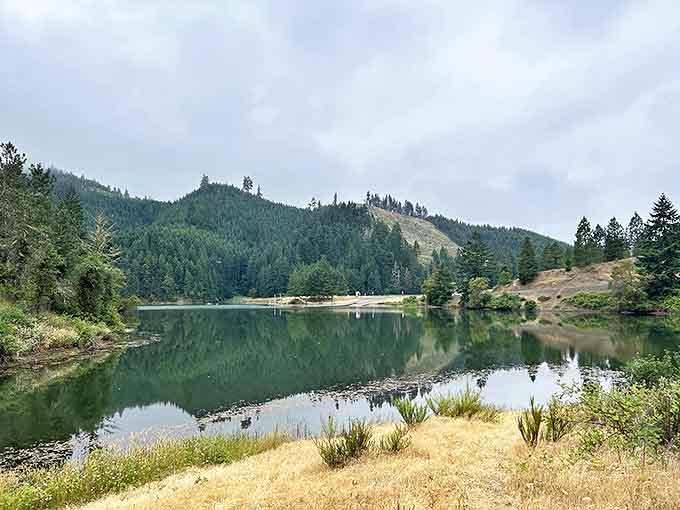 Cooper Creek Reservoir mirrors the surrounding hills like nature's own Instagram filter. No wonder the fishing here is legendary.