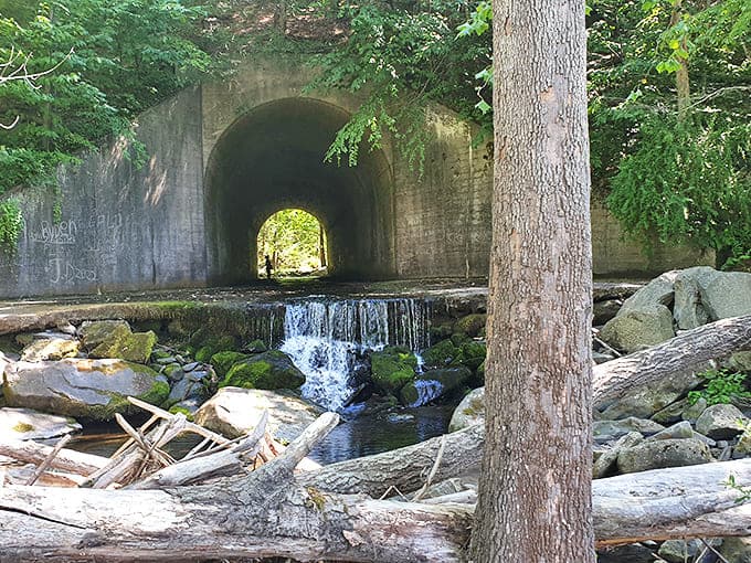 Mother Nature's architectural marvel &ndash; a stone tunnel where water creates its own soundtrack beneath centuries of engineering.