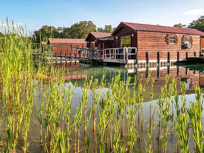 Floating cabins that bob gently on the water – it's like glamping meets houseboating meets "why didn't I think of this sooner?"