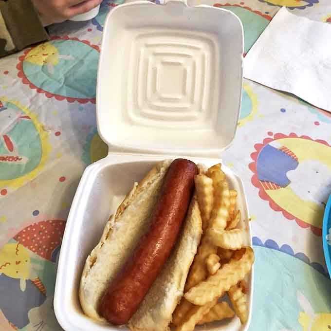 Hot dog simplicity at its finest. Sometimes the most straightforward pleasures—like this perfectly grilled dog with crinkle fries—hit hardest.