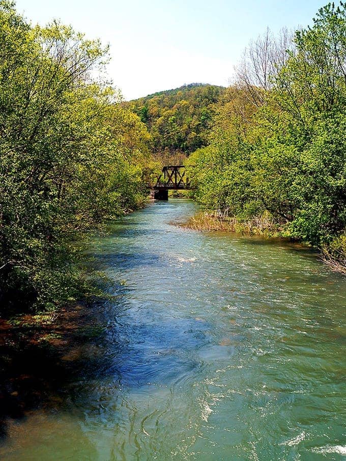 Nature's own masterpiece—Knapps Creek flows with crystal clarity beneath a rustic bridge, framed by spring foliage that practically demands a moment of quiet appreciation.
